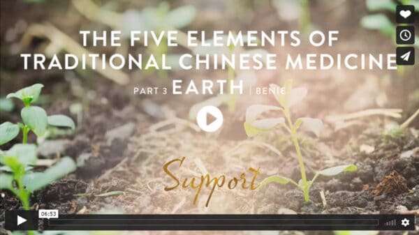 Earth Element | Five elements within Traditional Chinese Medicine